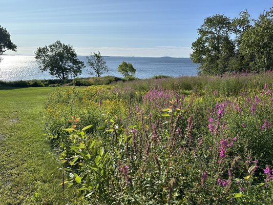 THE HIGH TIDE INN - Updated December 2025 - 42 Photos & 11 Reviews ...