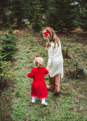 HEMSTROM VALLEY TREE FARM CHRISTMAS TREES - TEMP. CLOSED - Updated ...