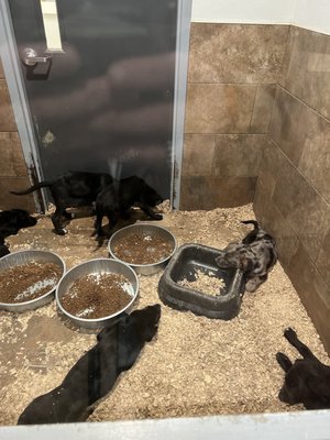 PETS PLUS NATURAL - Updated December 2025 - 45 Photos & 86 Reviews ...