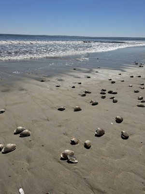 PINE POINT BEACH - Updated November 2025 - 54 Photos & 17 Reviews ...