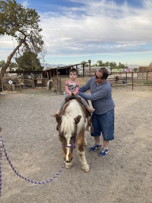 J R PONY PARTIES - Updated October 2025 - 141 Photos & 43 Reviews ...