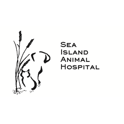 SEA ISLAND ANIMAL HOSPITAL - Updated June 2026 - 11 Photos & 31 Reviews ...