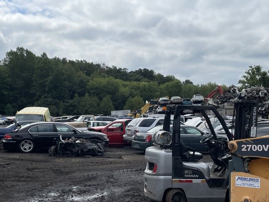 BLACEY’S U-PICK AUTO PARTS - Updated January 2026 - 15 Photos - 242 ...