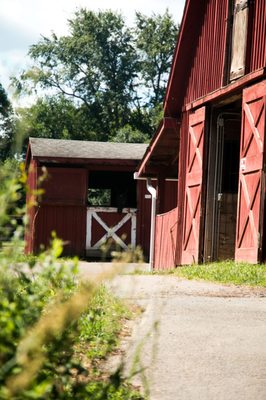 SILVER EAGLE STABLE - Updated August 2025 - 26 Photos & 21 Reviews ...