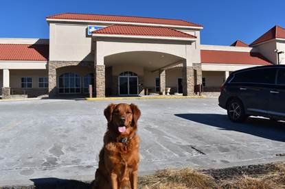 MISSION VETERINARY EMERGENCY & SPECIALTY - Updated May 2025 - 45 Photos ...