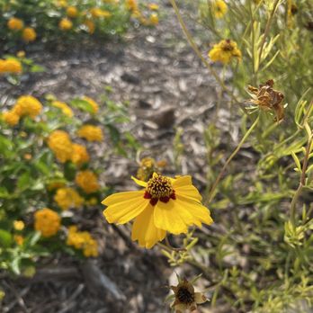 CLASSEN-STEUBING RANCH PARK - Updated May 2024 - 16 Photos - 20202 ...