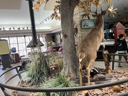 POWDER VALLEY CONSERVATION NATURE CENTER - Updated December 2025 - 252 ...