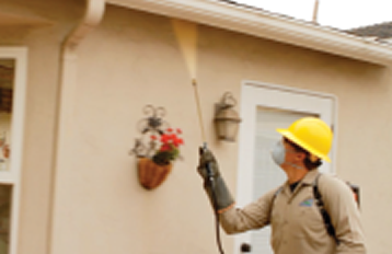 CORKY’S PEST CONTROL - Updated May 2024 - 32 Photos & 524 Reviews - 150 ...