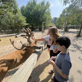 WISCONSIN DEER PARK - Updated August 2024 - 237 Photos & 124 Reviews ...