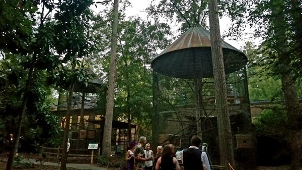 DUKE UNIVERSITY LEMUR CENTER - 169 Photos & 68 Reviews - Zoos - 3705 ...