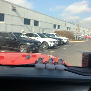 CADILLAC OF NOVI - Updated July 2025 - 25 Photos & 96 Reviews - 41350 ...