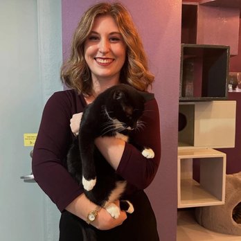 PHX CAT CAFE - Updated February 2025 - 504 Photos & 148 Reviews - 147 E ...