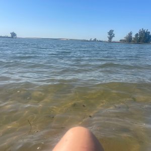 MODESTO RESERVOIR REGIONAL PARK - 89 Photos & 37 Reviews - 18143 ...