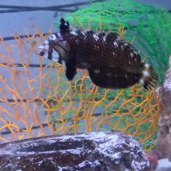 AQUARIUM & SHARK LAB BY TEAM ECCO - Updated October 2025 - 66 Photos ...