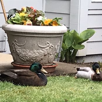 CHARBONNEAU GOLF CLUB - Updated August 2025 - 27 Photos & 22 Reviews ...