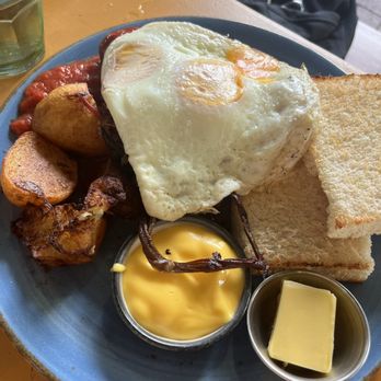 FAT DOG - Updated July 2025 - 126 Photos & 81 Reviews - 1161 Arawa St ...