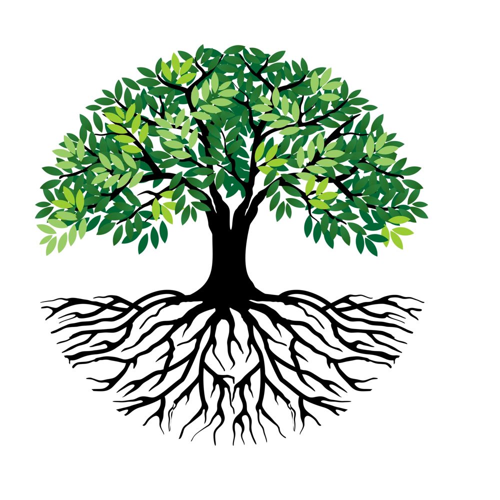 OAK TREE INSULATION SOLUTIONS - Updated December 2024 - Request a Quote ...