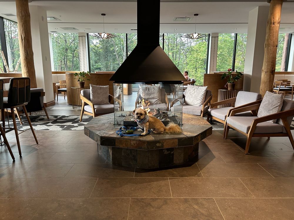 HÔTEL-MUSÉE PREMIÈRES NATIONS - Updated April 2025 - 91 Photos & 13 ...