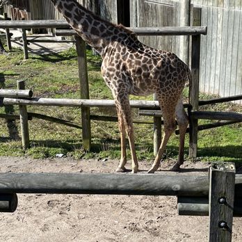 VIRGINIA ZOO - Updated June 2024 - 1521 Photos & 235 Reviews - 3500 ...