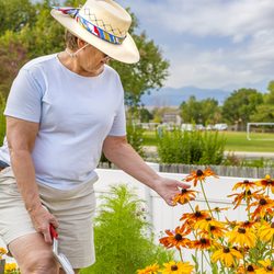 COVENANT LIVING OF COLORADO - 35 Photos - 9153 Yarrow St, Westminster ...