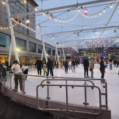 GALLIVAN CENTER - Updated September 2025 - 136 Photos & 80 Reviews ...