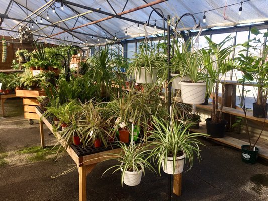 MAGNOLIA GARDEN VILLAGE - Updated December 2025 - 54 Photos & 39 ...