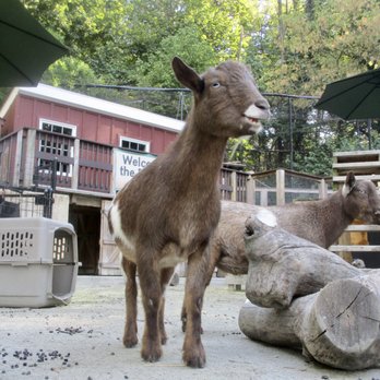 BRANDYWINE ZOO - Updated April 2025 - 147 Photos & 65 Reviews - 1001 N ...