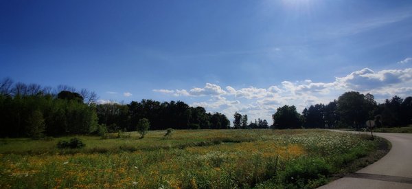 VIRMOND PARK - Updated July 2024 - 24 Photos - 10606 N Lake Shore Dr ...