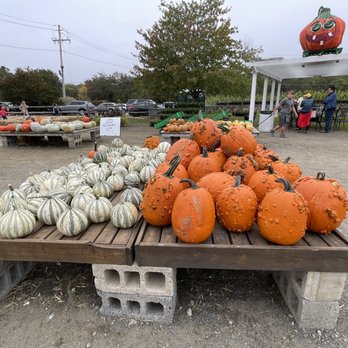 SECOR FARMS - Updated October 2024 - 187 Photos & 74 Reviews - 168 ...