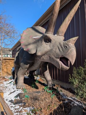 THE CENTER FOR SCIENCE TEACHING & LEARNING -TANGLEWOOD PRESERVE ...