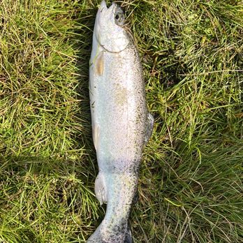 LAKE WILDERNESS - Updated December 2025 - 112 Photos & 31 Reviews ...