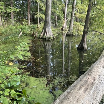 STUMPY LAKE NATURAL AREA - Updated October 2025 - 248 Photos & 20 ...