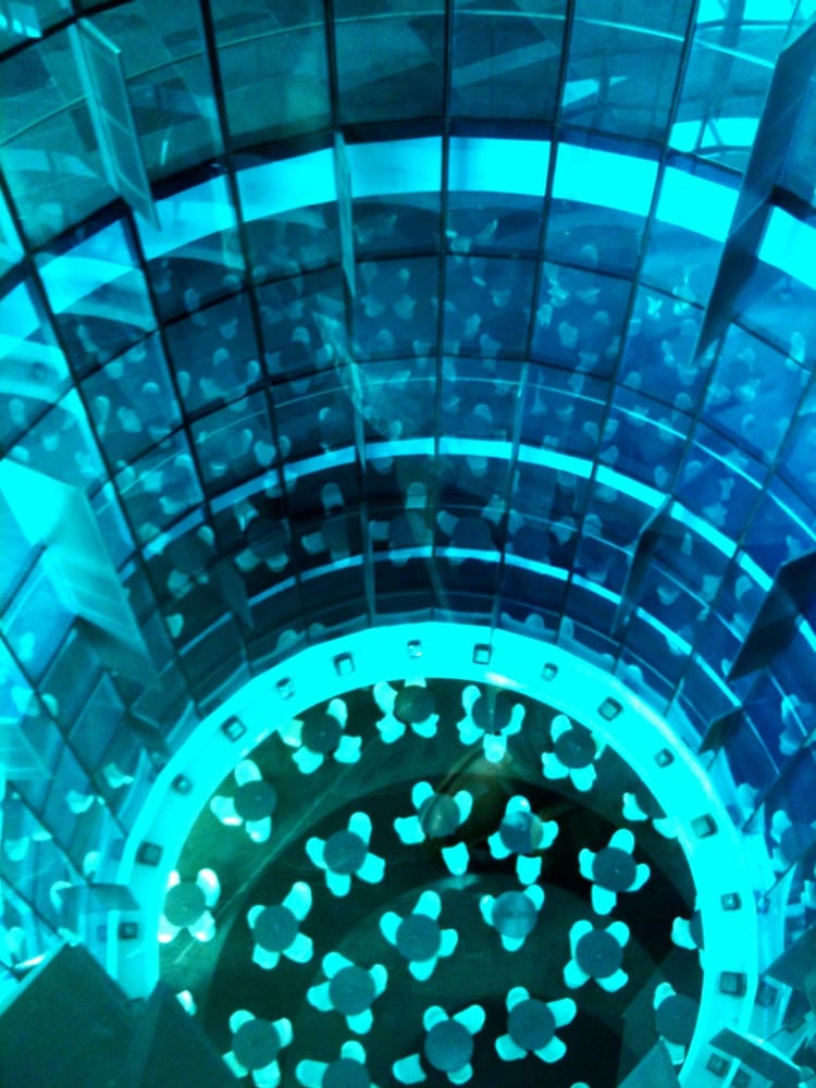 CONSTITUTION CAFE - Updated December 2025 - 10 Reviews - 400 N Miami ...