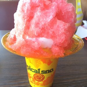 Tropic Hawaiian Shave Ice - Takeout & Delivery - 13 Photos & 18 Reviews ...