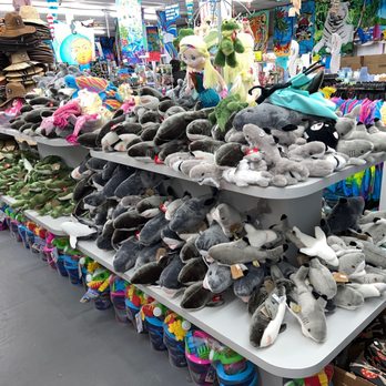 SEA SHELLS & CORAL - Updated December 2025 - 51 Photos & 21 Reviews ...