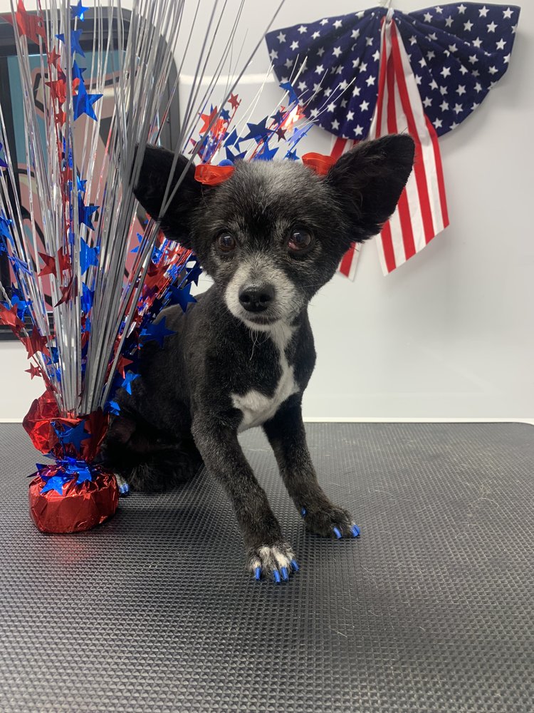 FANCY SPAW - Updated April 2025 - 35 Photos - Long Beach, California ...