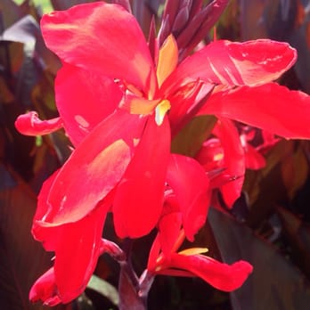 MACK BENN, JR. ELEMENTARY SCHOOL - Updated December 2025 - 1253 ...