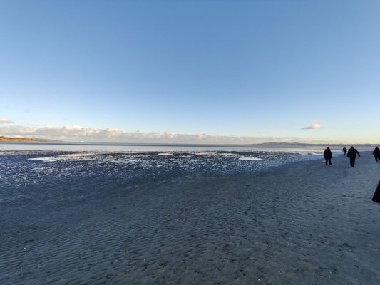 SANDYMOUNT STRAND - Updated September 2024 - 38 Photos & 24 Reviews ...