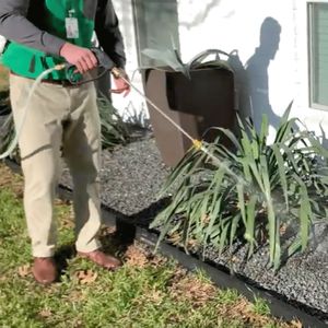 ROCKET PEST CONTROL - Updated August 2025 - 12 Photos & 15 Reviews ...