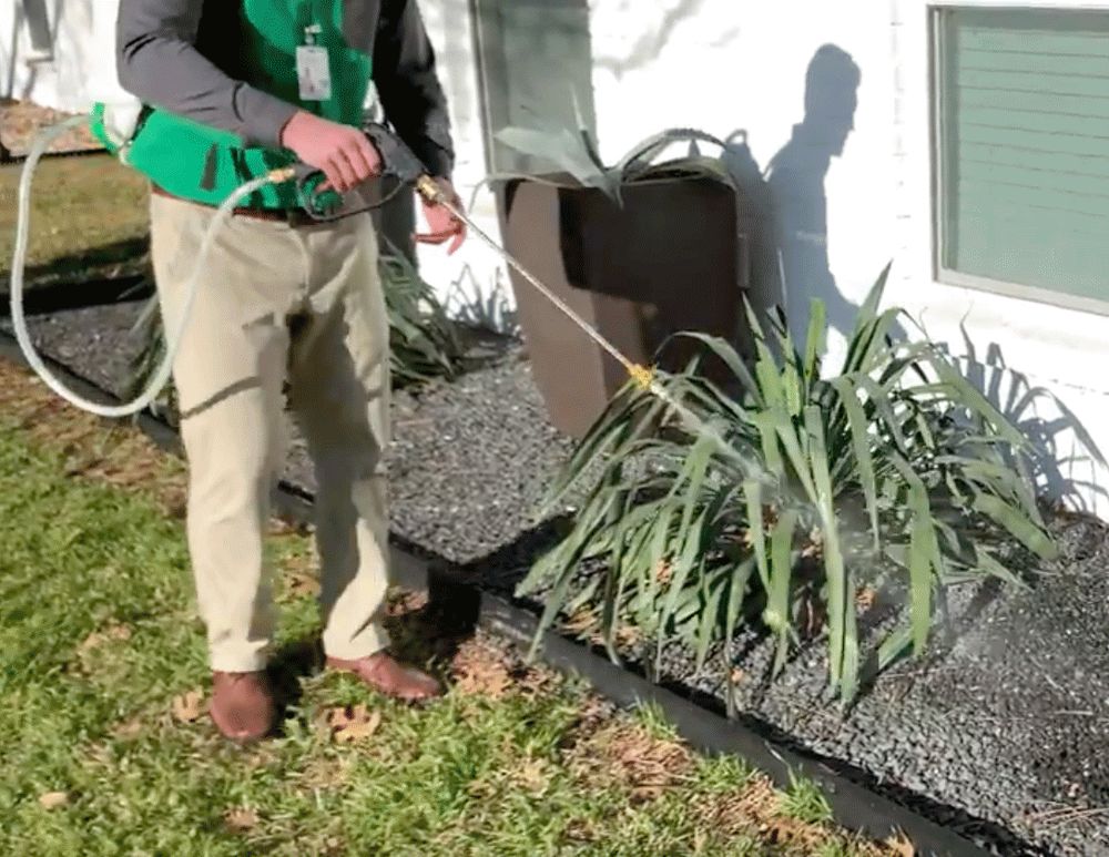 VINX PEST CONTROL - Updated September 2025 - 10 Photos - 1410 St ...