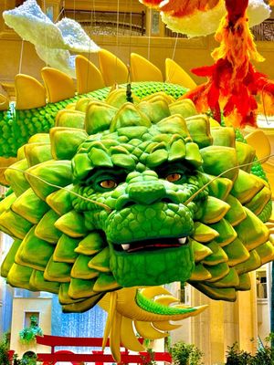 SEATTLE KUNG FU CLUB - Updated May 2026 - 656 1/2 S King St, Seattle ...