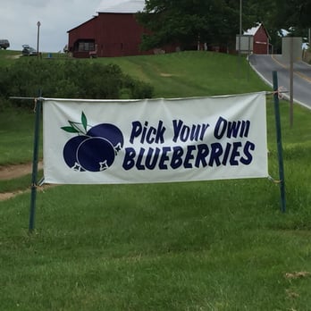 SHAW ORCHARDS - Updated October 2025 - 29 Photos & 16 Reviews - 5594 ...