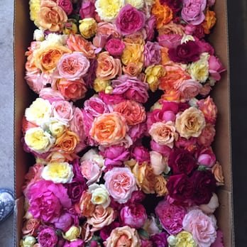 ROSE STORY FARM - Updated December 2025 - 55 Photos & 27 Reviews ...