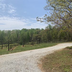 LOVINGSTON WINERY - 64 Photos & 21 Reviews - Wineries - 885 Freshwater ...