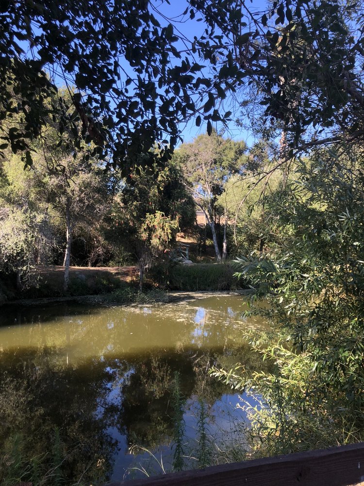 GREEN OAK RANCH - Updated August 2024 - 30 Photos & 13 Reviews - 1237 ...