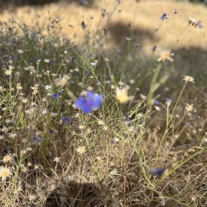 SEQUOIA RV RANCH - Updated October 2025 - 135 Photos & 112 Reviews ...