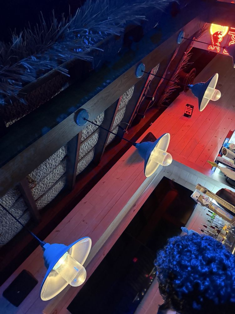 SHARK BAR - Updated June 2026 - 12 Photos - 9101 International Dr ...