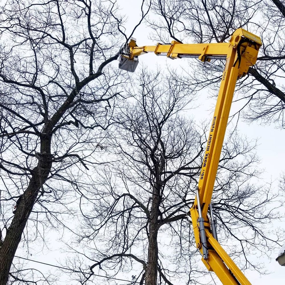 HOPPE TREE SERVICE - 18 Photos & 21 Reviews - 1813 S 73rd St, Milwaukee ...
