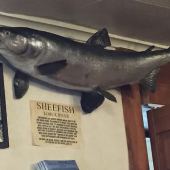 BETTLES LODGE - Updated December 2025 - 94 Photos & 11 Reviews - 1 ...