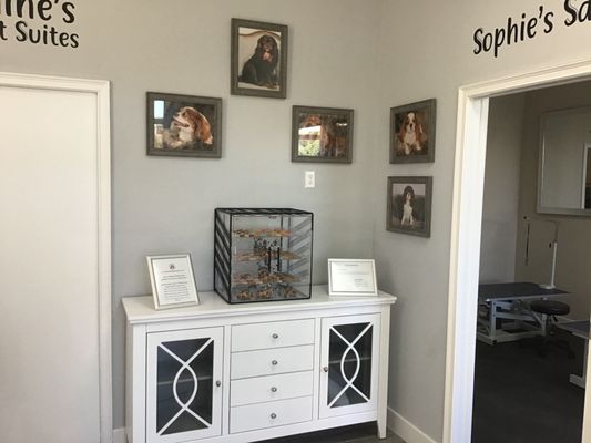 THE SNOOTY POOCH PET SPA - 30 Photos & 42 Reviews - 4065 Hood Rd, Palm ...